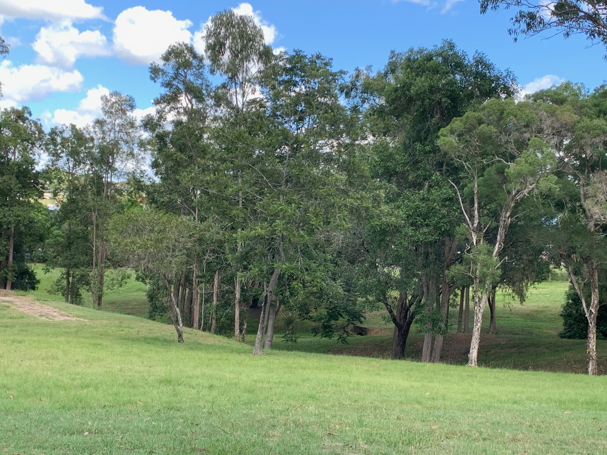 Tozer Park Road Cemetery, Gympie – Gympie Regional Memories