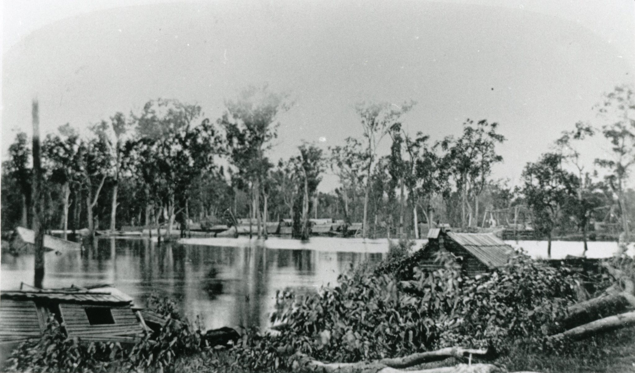 Thomas Mathewson, Photographer – Gympie Regional Memories