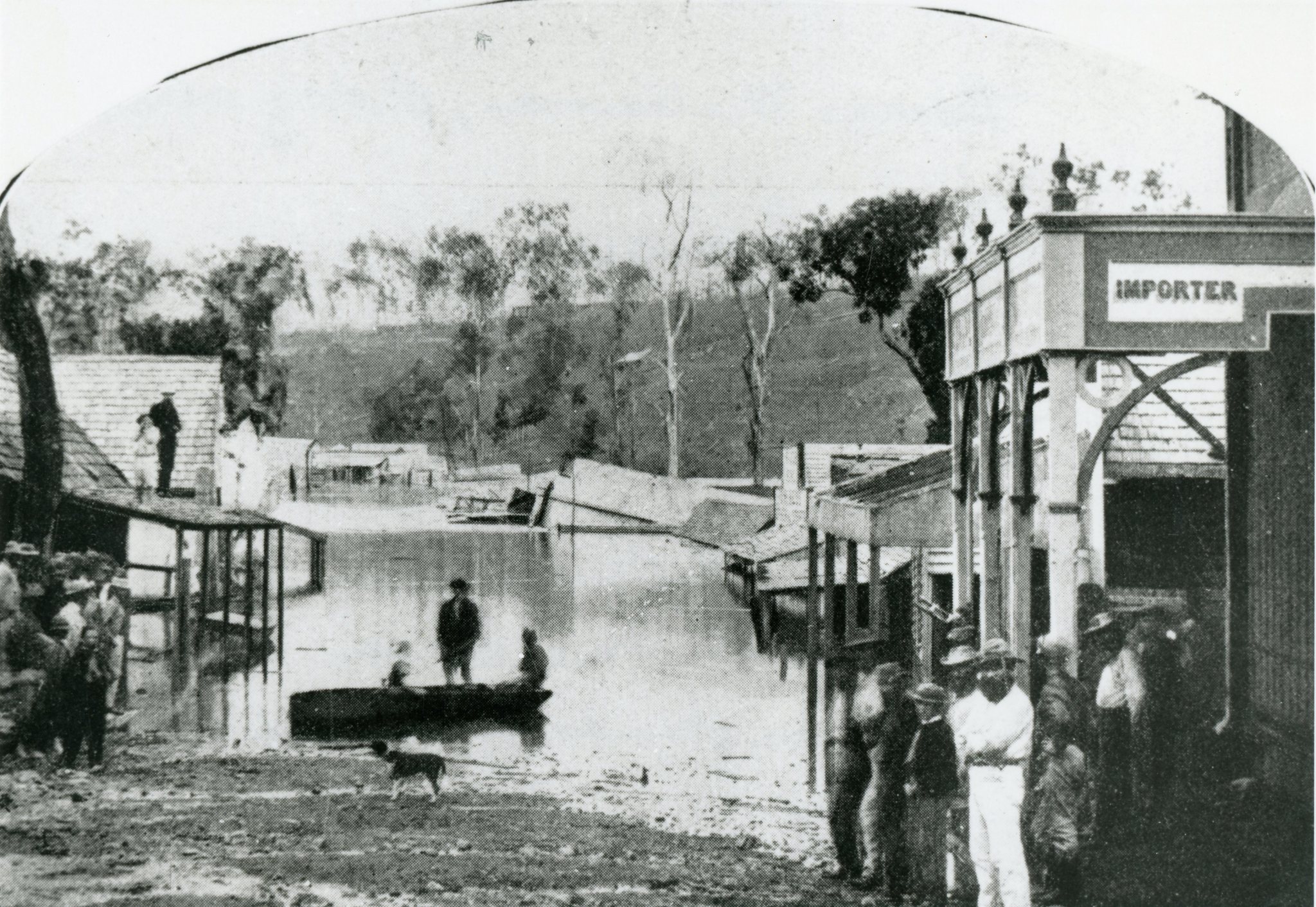 Thomas Mathewson, Photographer – Gympie Regional Memories